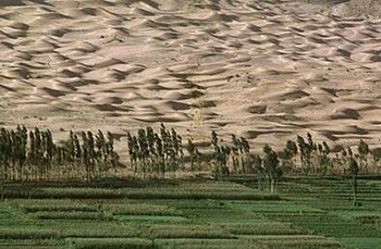 Land degradation among China’s food supply challenges, says UN expert ...